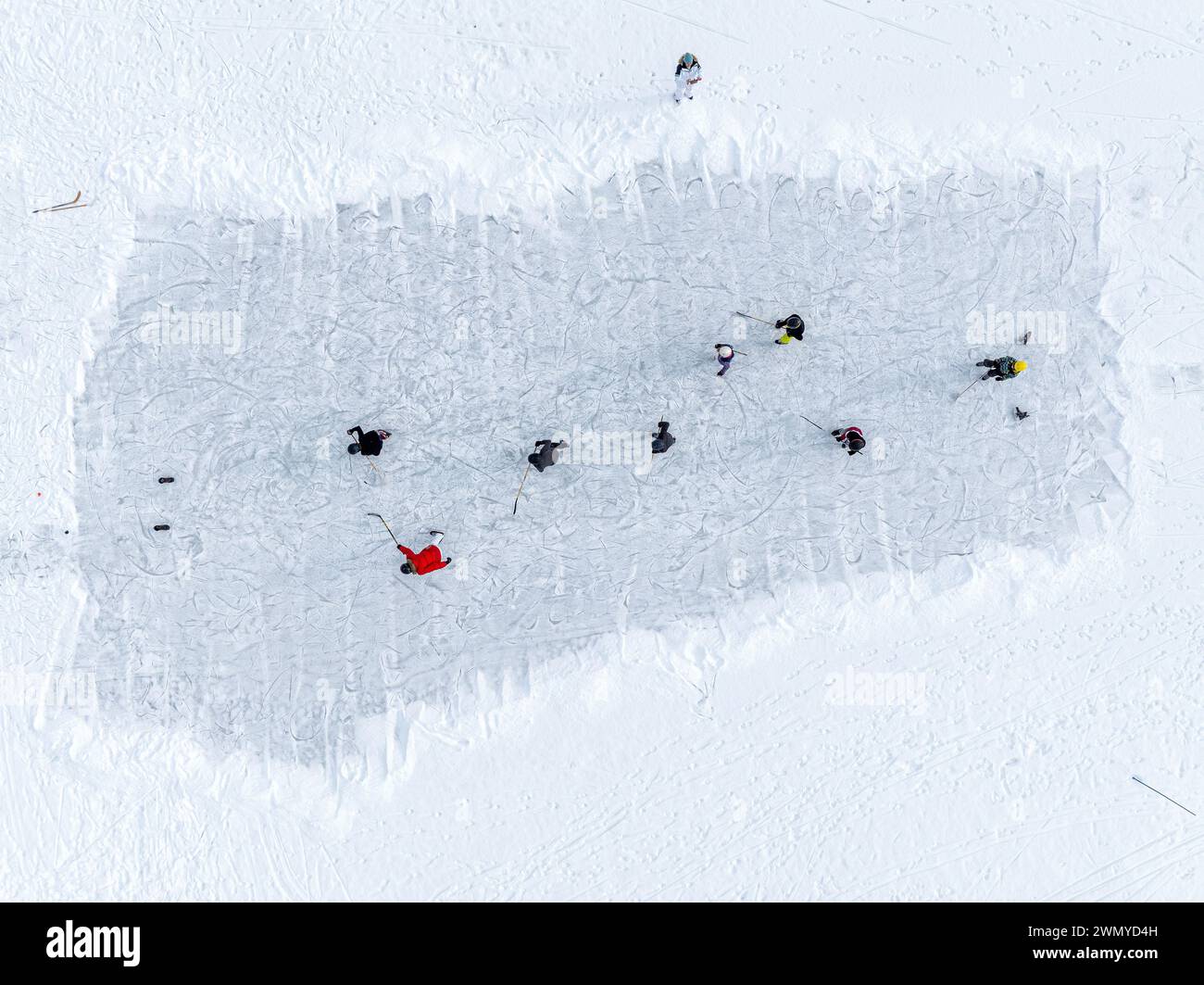 La vachette Banque de photographies et d’images à haute résolution - Alamy