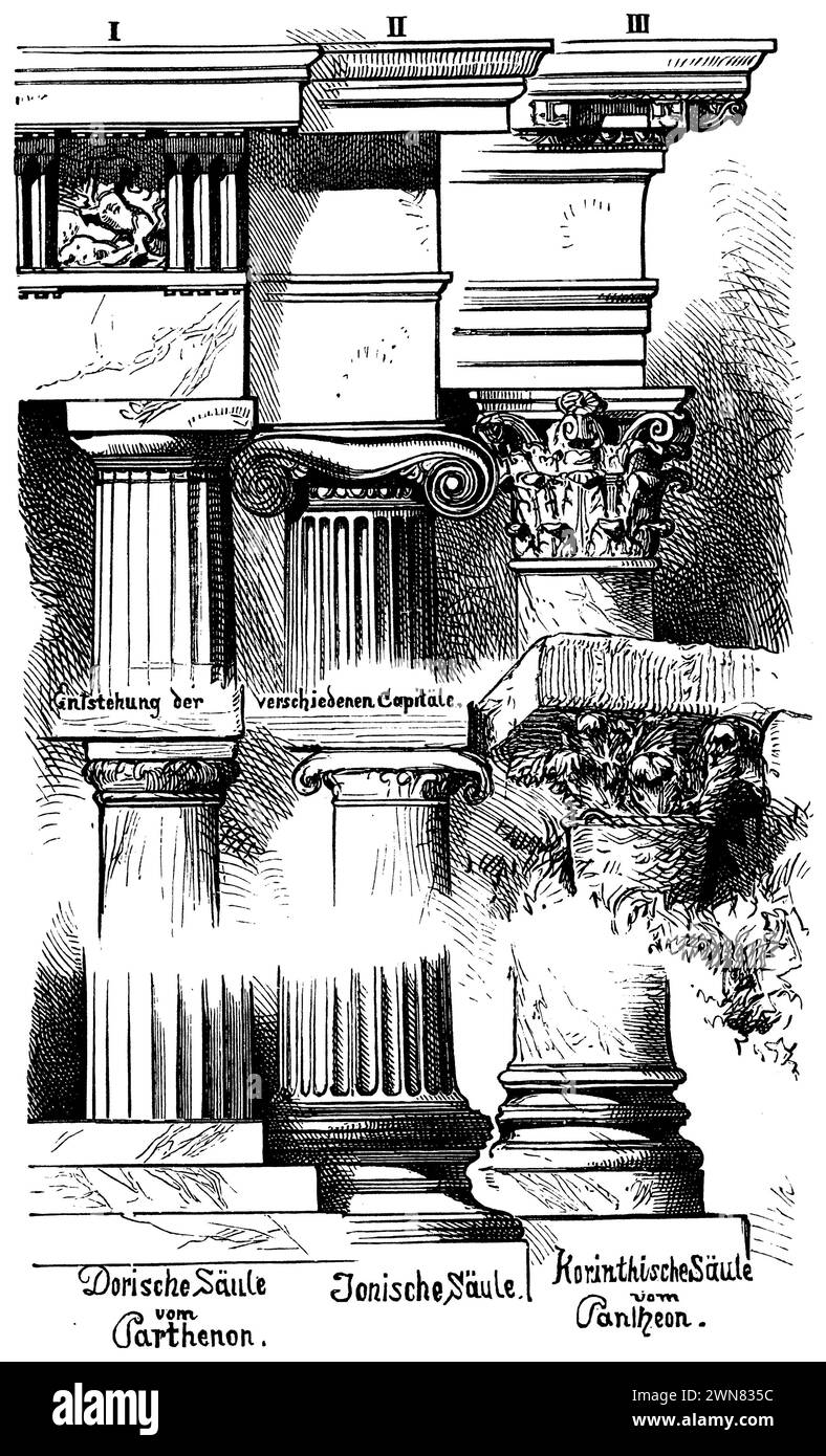 Ordres ioniques Banque d'images détourées - Alamy