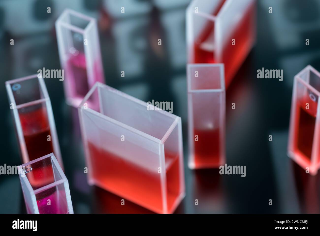 Laboratory cuvettes Banque de photographies et d’images à haute ...