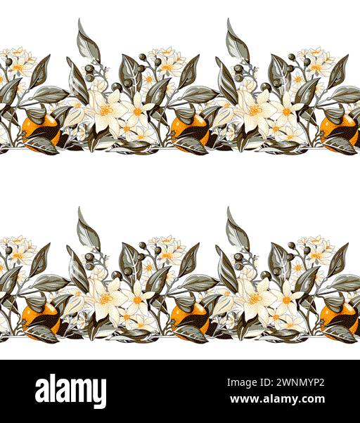 Bordure de conception Banque d'images vectorielles - Alamy