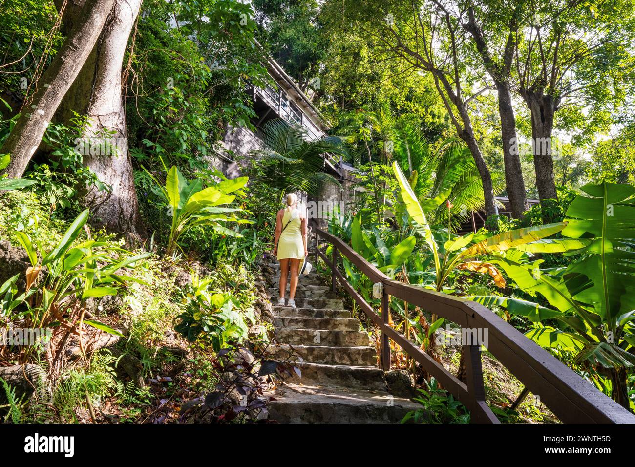 Femme sainte lucie Banque de photographies et d’images à haute résolution - Alamy