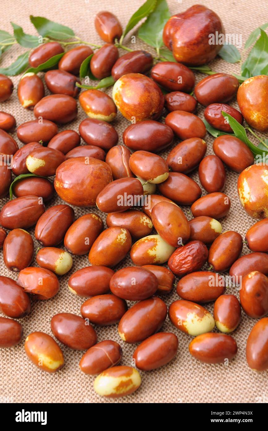 Ziziphus jujuba meimizao Banque de photographies et d’images à haute ...