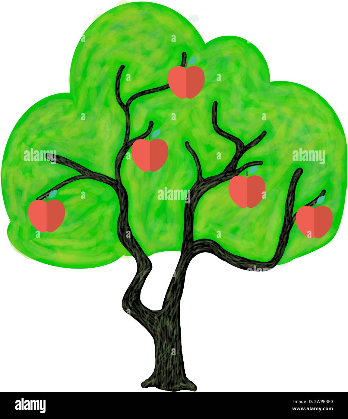 Pommes vertes sur l'arbre Banque d'images vectorielles - Alamy