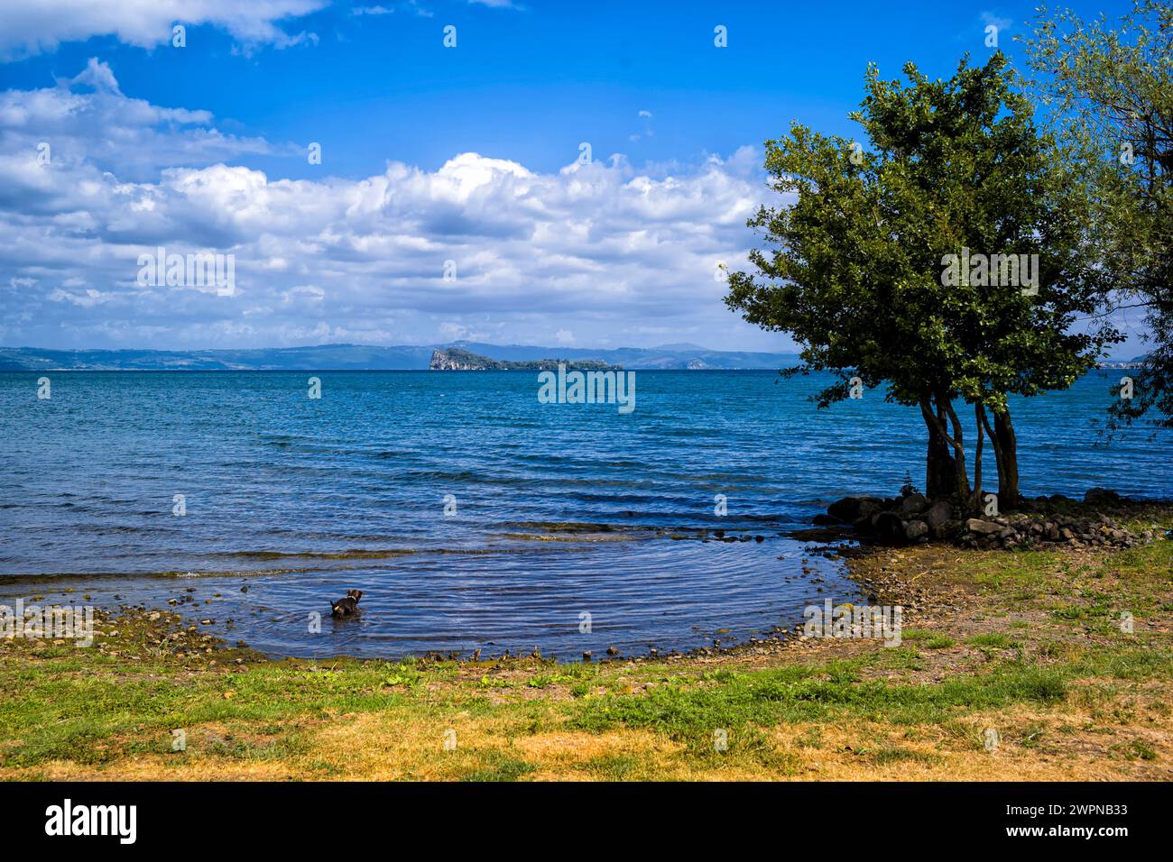 Rive du lac de bolsena Banque de photographies et d’images à haute ...