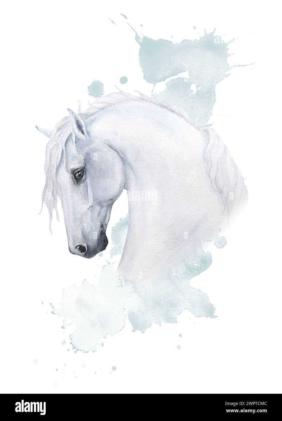 Cheval à colorier Banque d'images détourées - Alamy