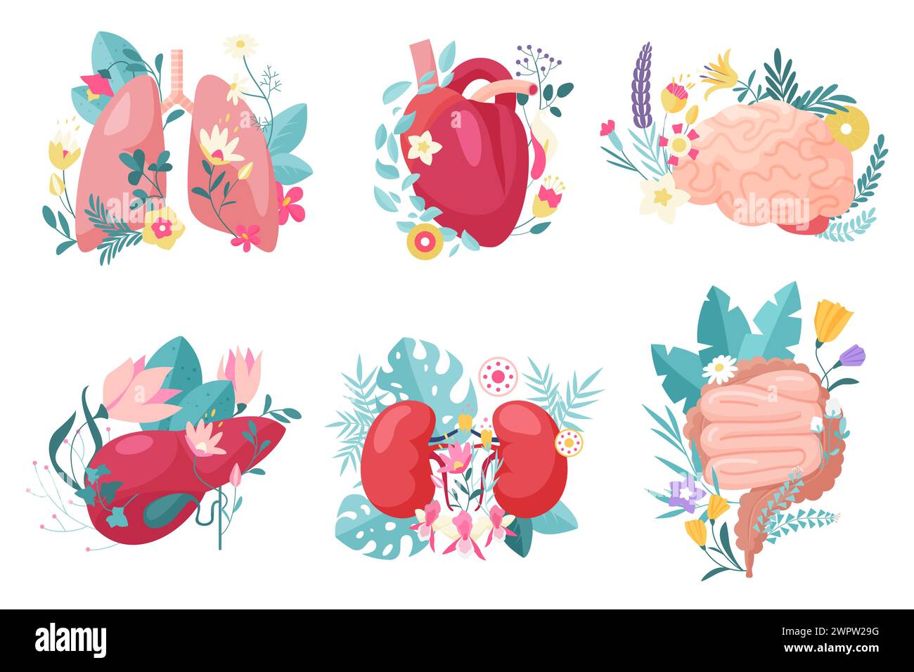 Anatomie humaine, organes internes avec fleurs et plantes. Poumons et ...