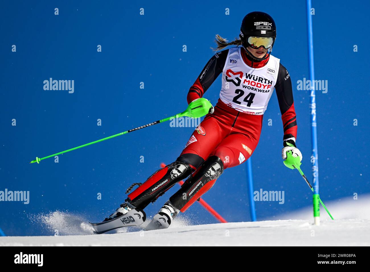 Germane dzenifera Banque de photographies et d’images à haute ...