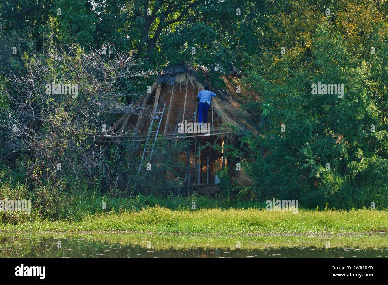 Cabane africaine au toit de chaume Banque de photographies et d’images à haute résolution - Alamy
