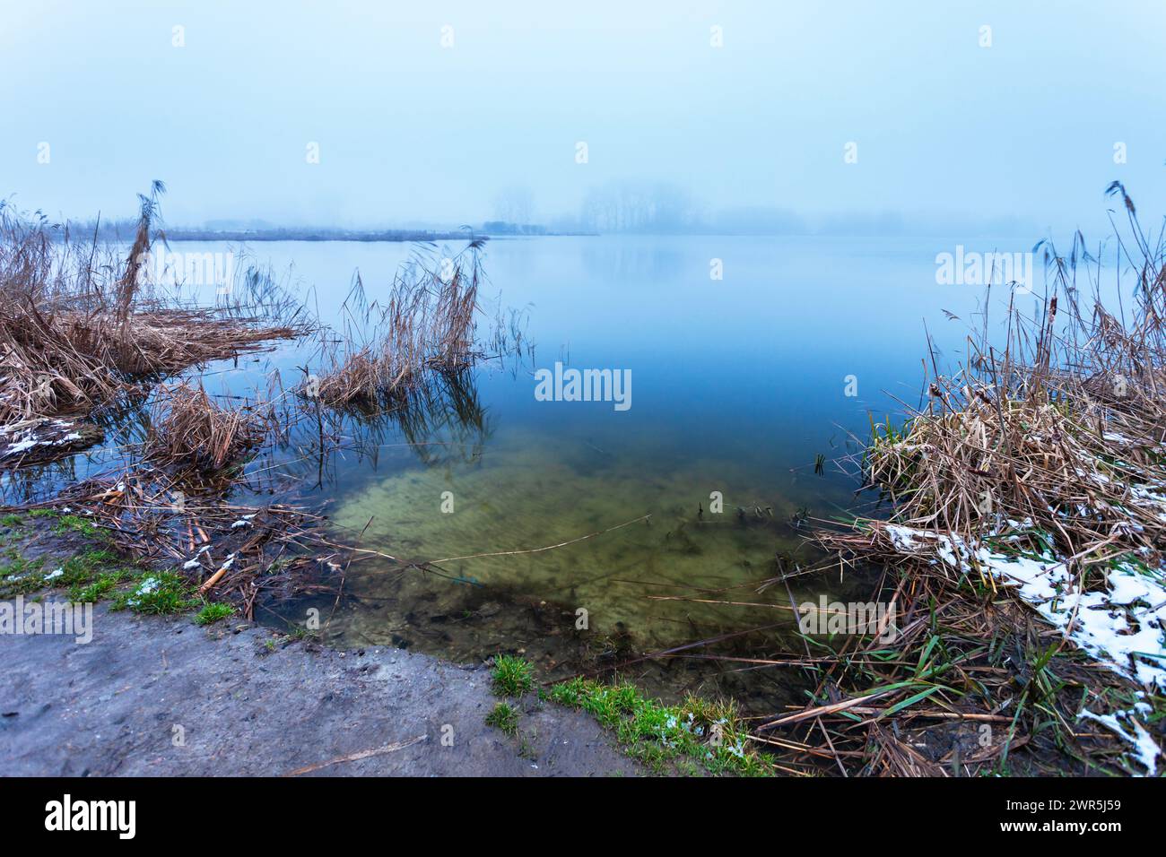 Rivage avec des roseaux Banque de photographies et d’images à haute résolution - Alamy