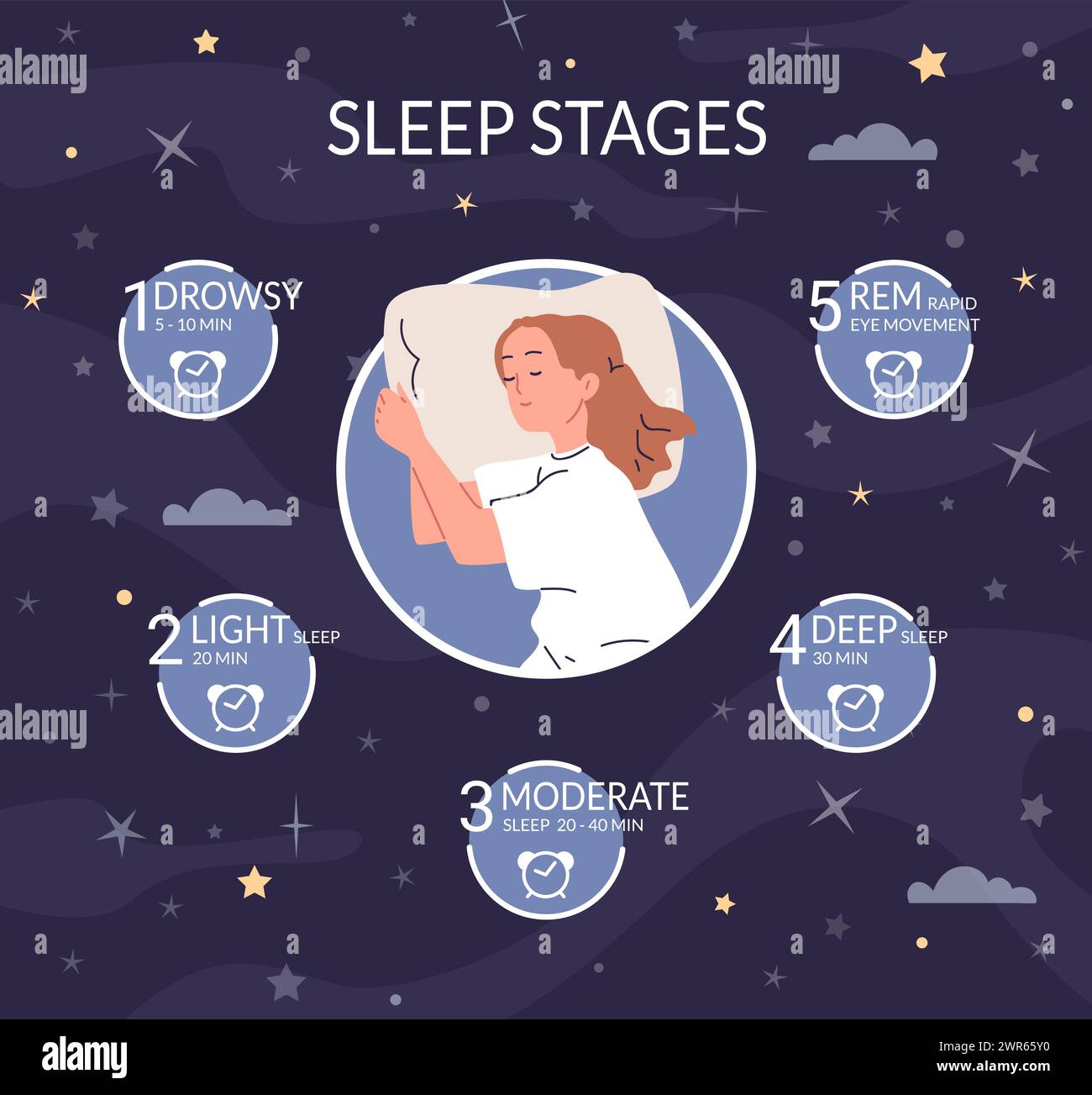 Stades du sommeil. Infographie de science de routine de cycle de ...