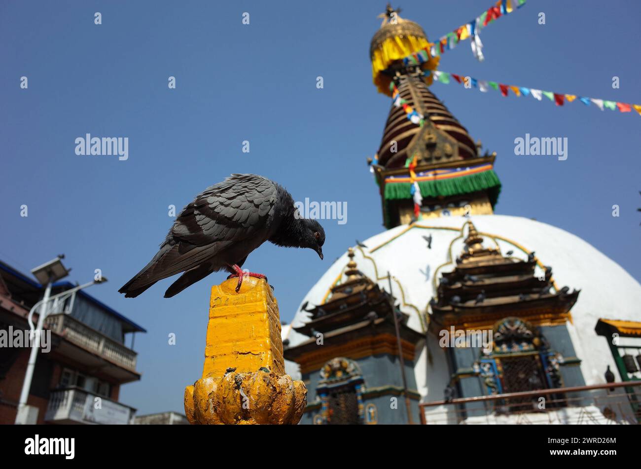 Toxic emissions Banque de photographies et d’images à haute résolution ...