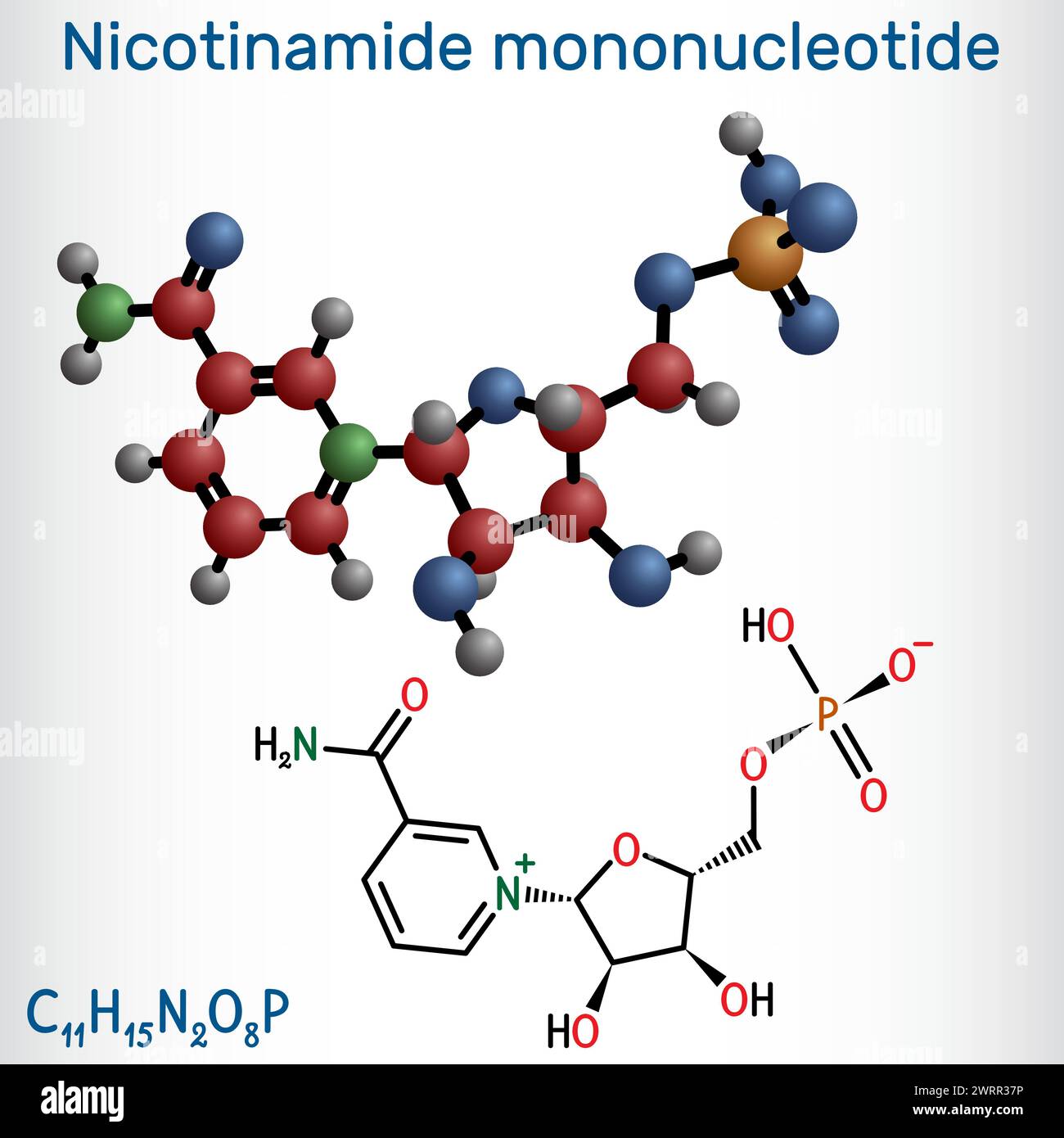 Nicotinamide mononucléotide, molécule NMN. C'est naturellement un ...