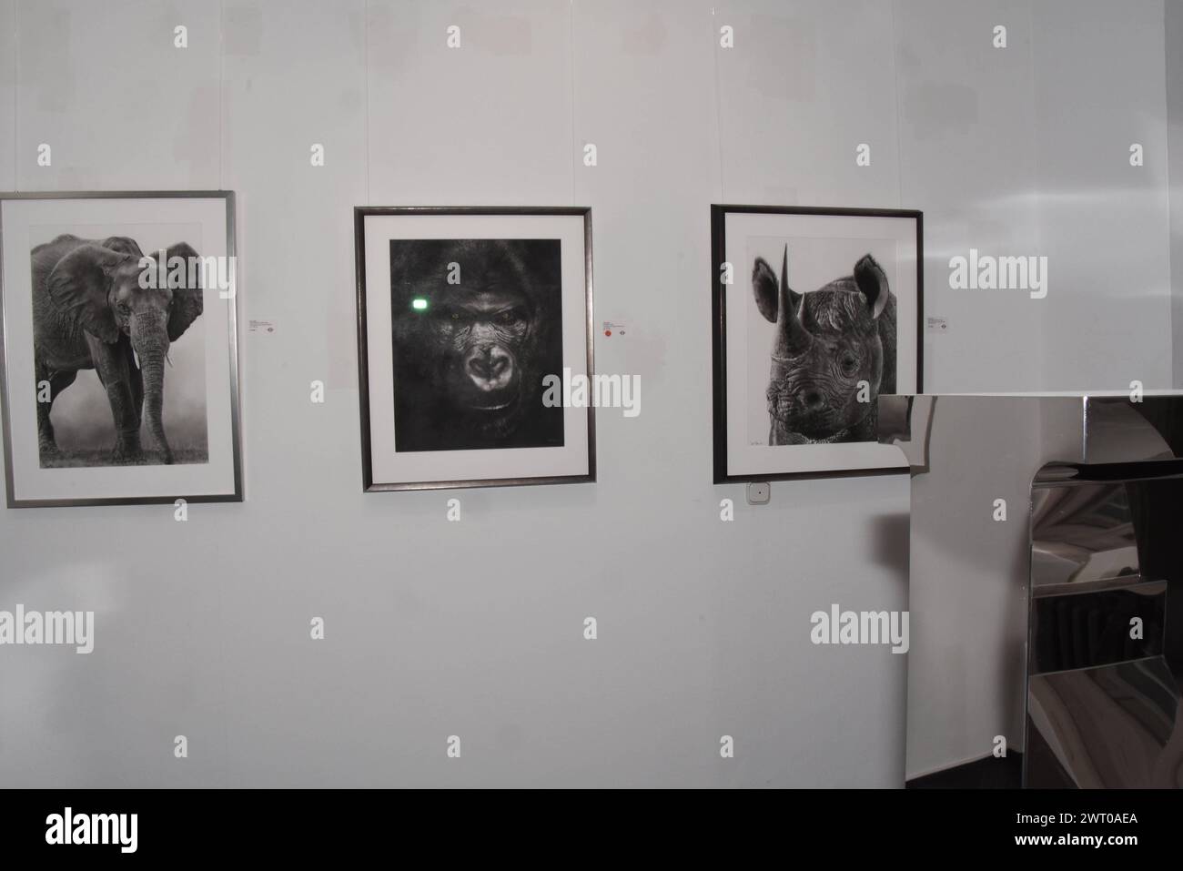 Charcoal drawings Banque de photographies et d’images à haute ...