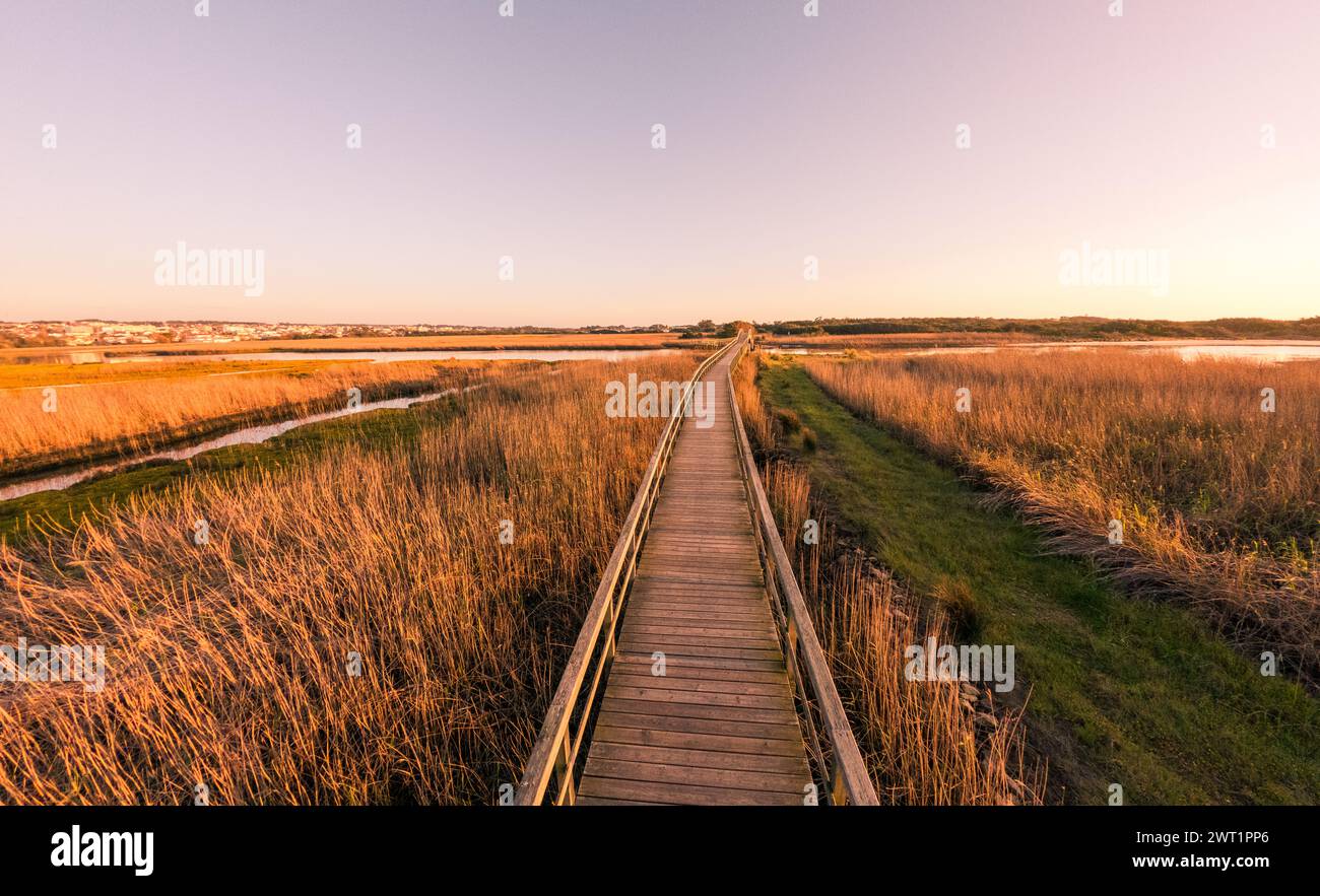 Paramos portugal Banque de photographies et d’images à haute résolution ...