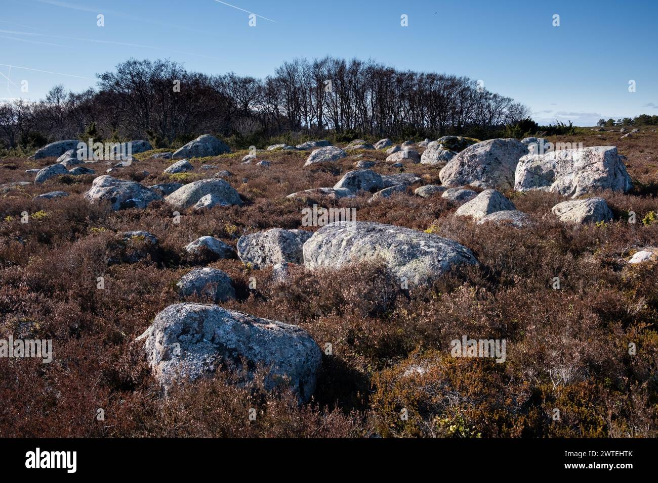 JURMO, ÎLE LOINTAINE DE LA MER BALTIQUE, SOLEIL D'HIVER : paysage de la ...