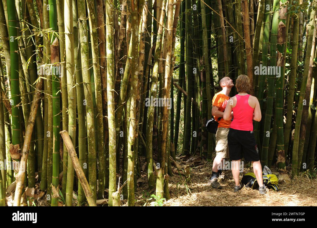 Parc national des collantes Banque de photographies et d’images à haute ...