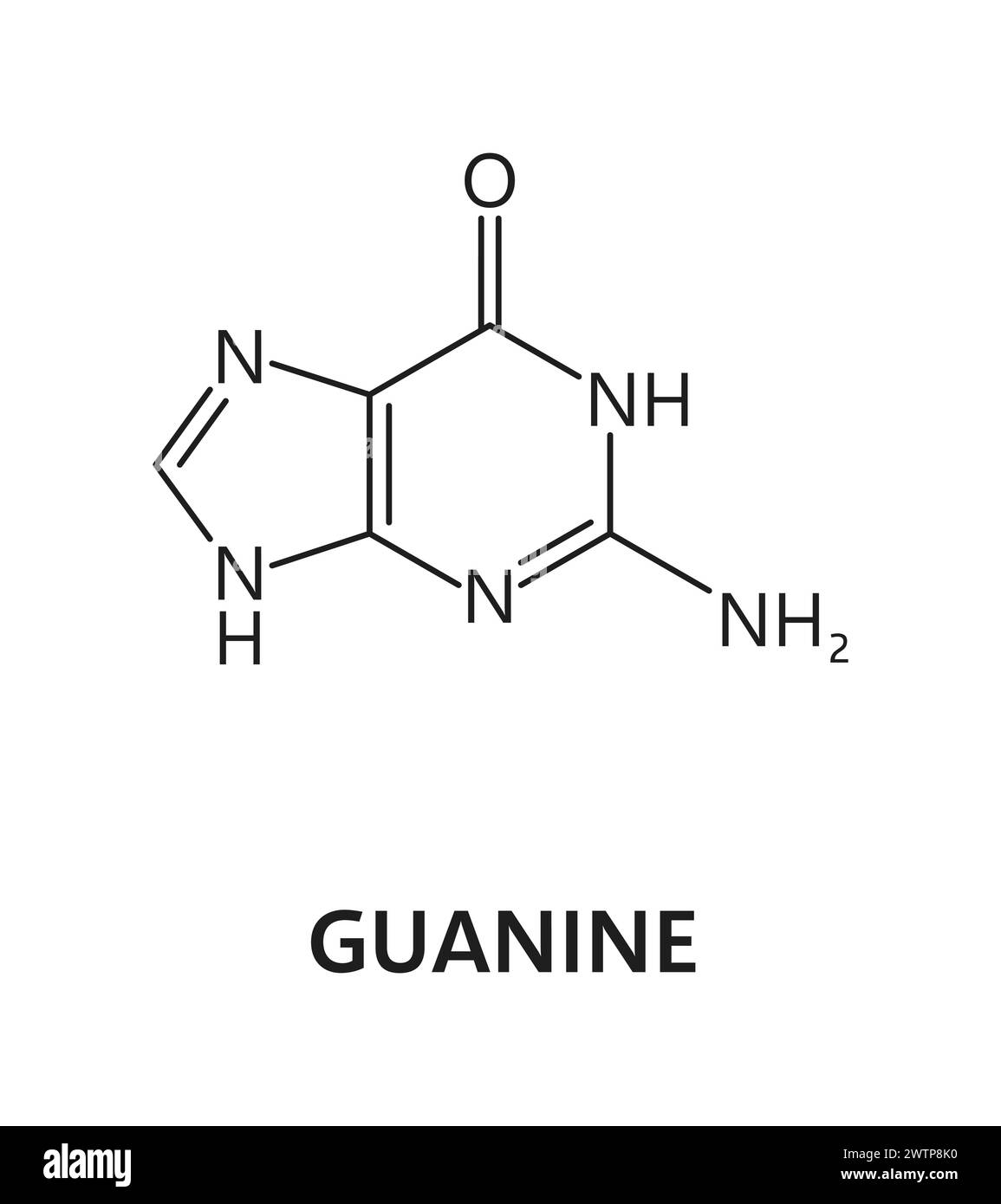 Acide nucléique guanine, base azotée, formule azote et hydrogène ...