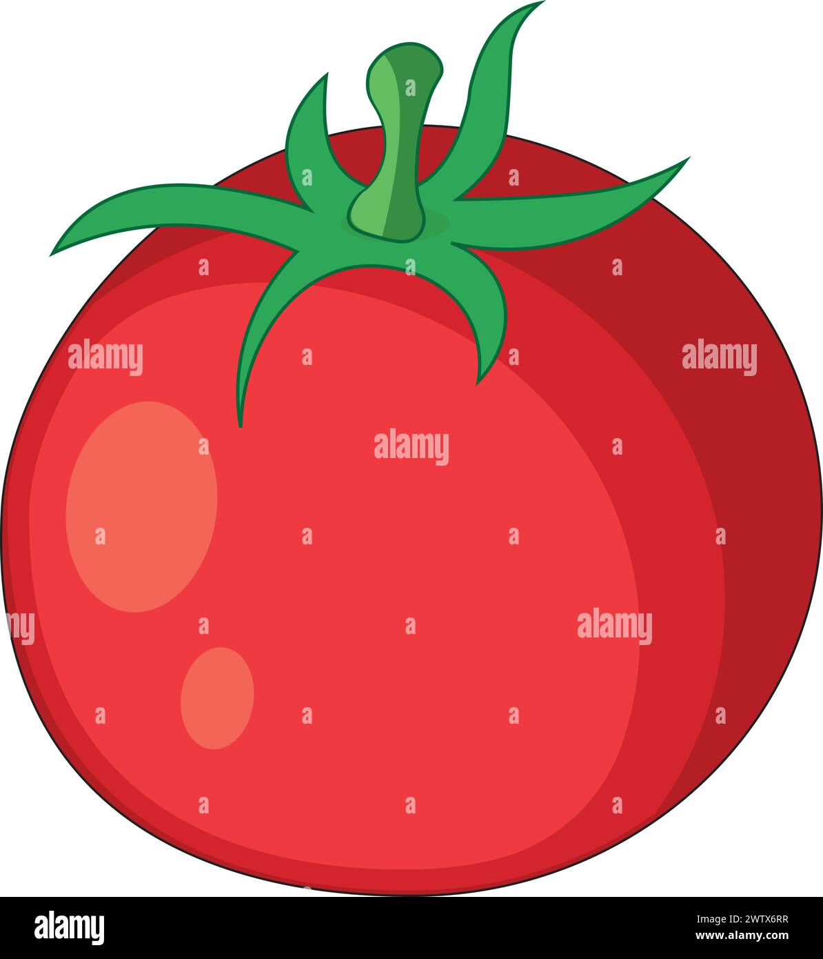 Tomate rojo ilustración vectorial Banque de photographies et d’images à ...