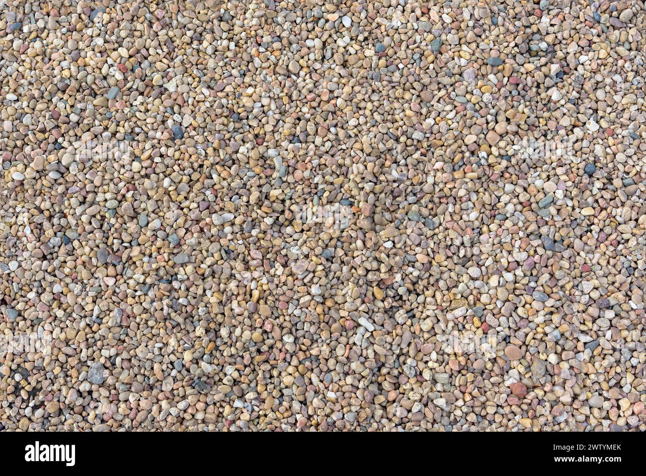 Seamless texture with pebbles Banque de photographies et d’images à ...