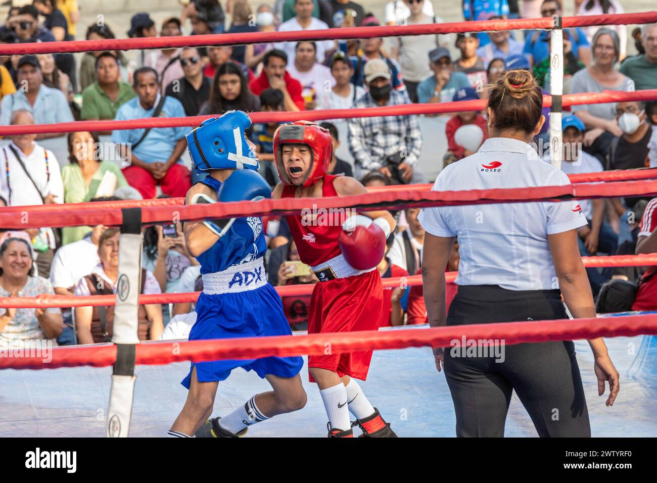 Match de boxe Banque de photographies et d’images à haute résolution ...