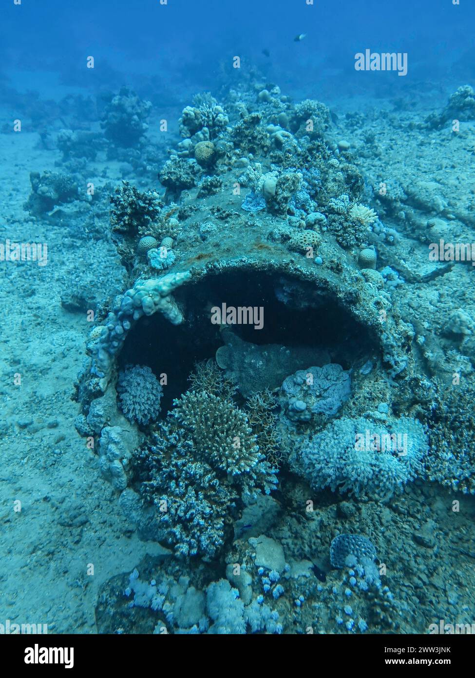 Le navire carnatic wreck red mer egypte Banque de photographies et d ...