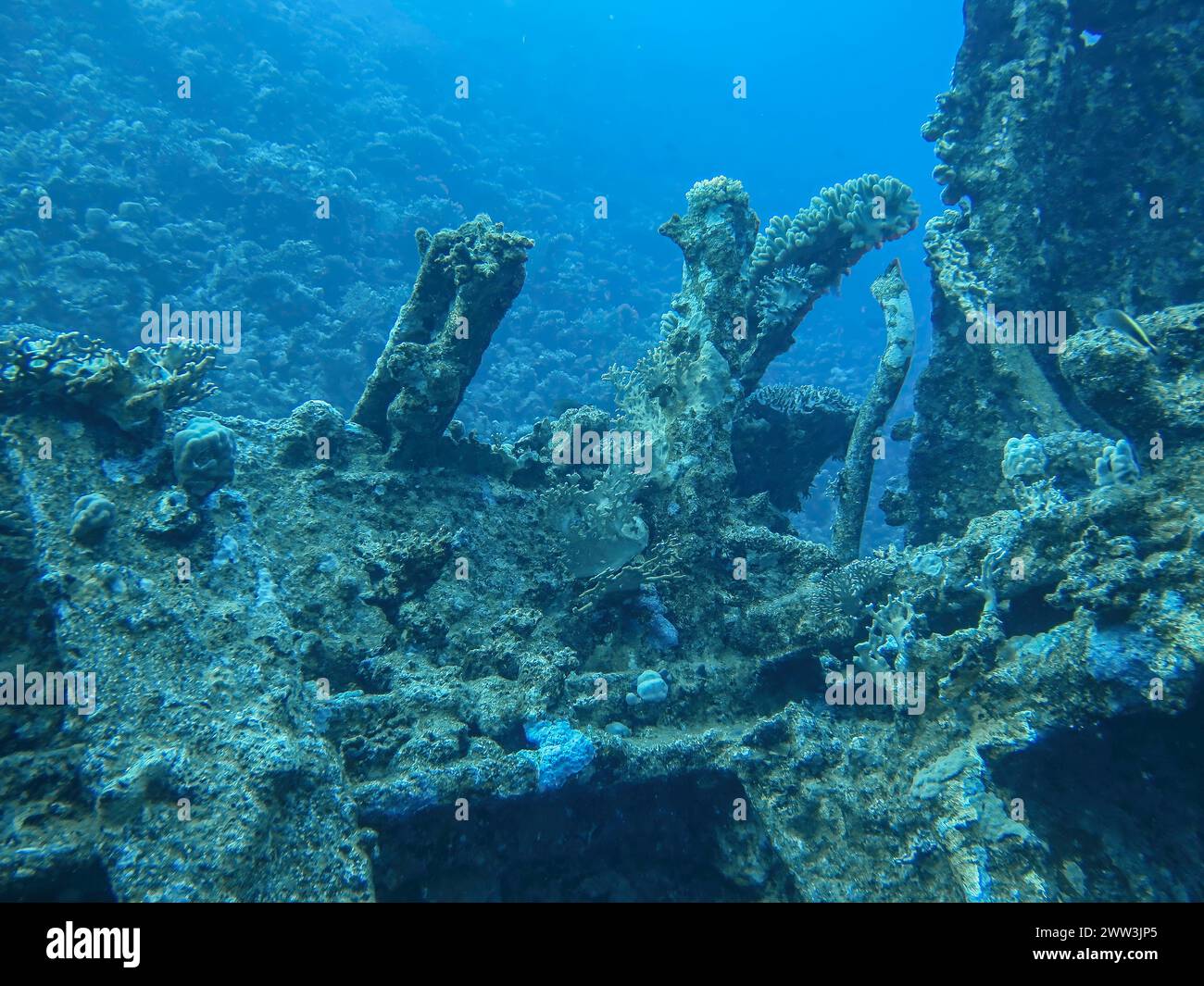 Le navire carnatic wreck red mer egypte Banque de photographies et d ...