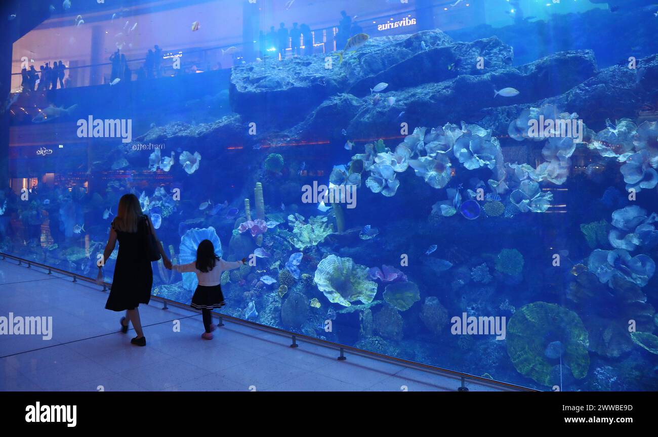 Dubai shark Banque de photographies et d’images à haute résolution - Alamy