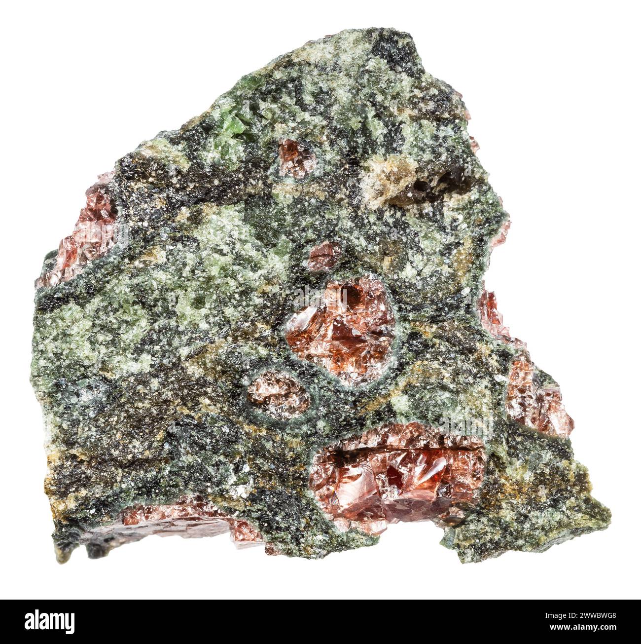 Rubis de californie Banque d'images détourées - Alamy