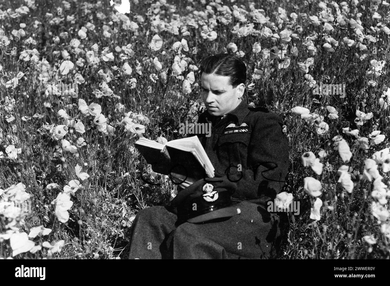 Wing commander guy gibson Banque d'images noir et blanc - Alamy