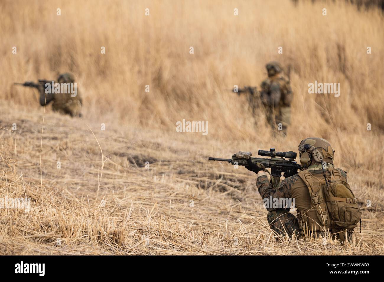 Les Marines américains engagent un ennemi fictif lors d'un tir réel et ...