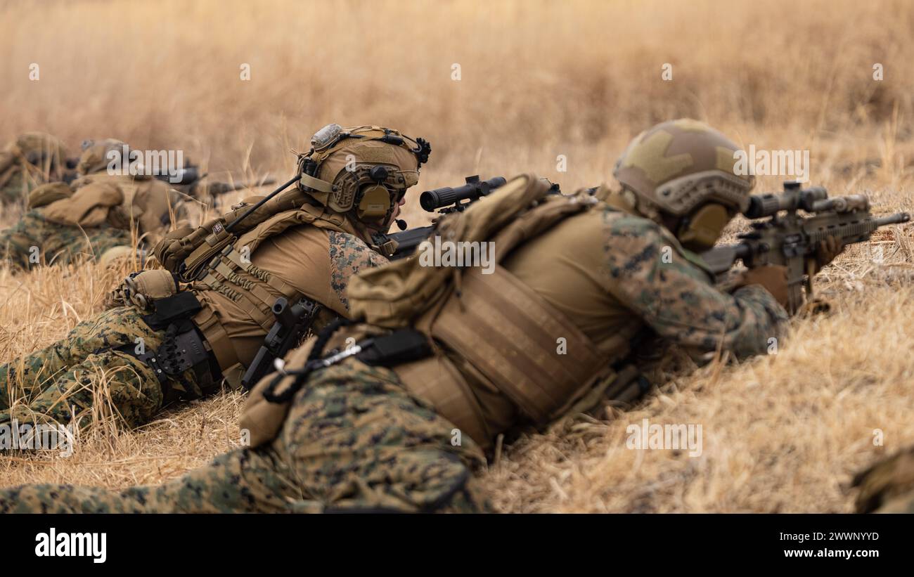 Les Marines américains engagent un ennemi fictif lors d'un tir réel et ...