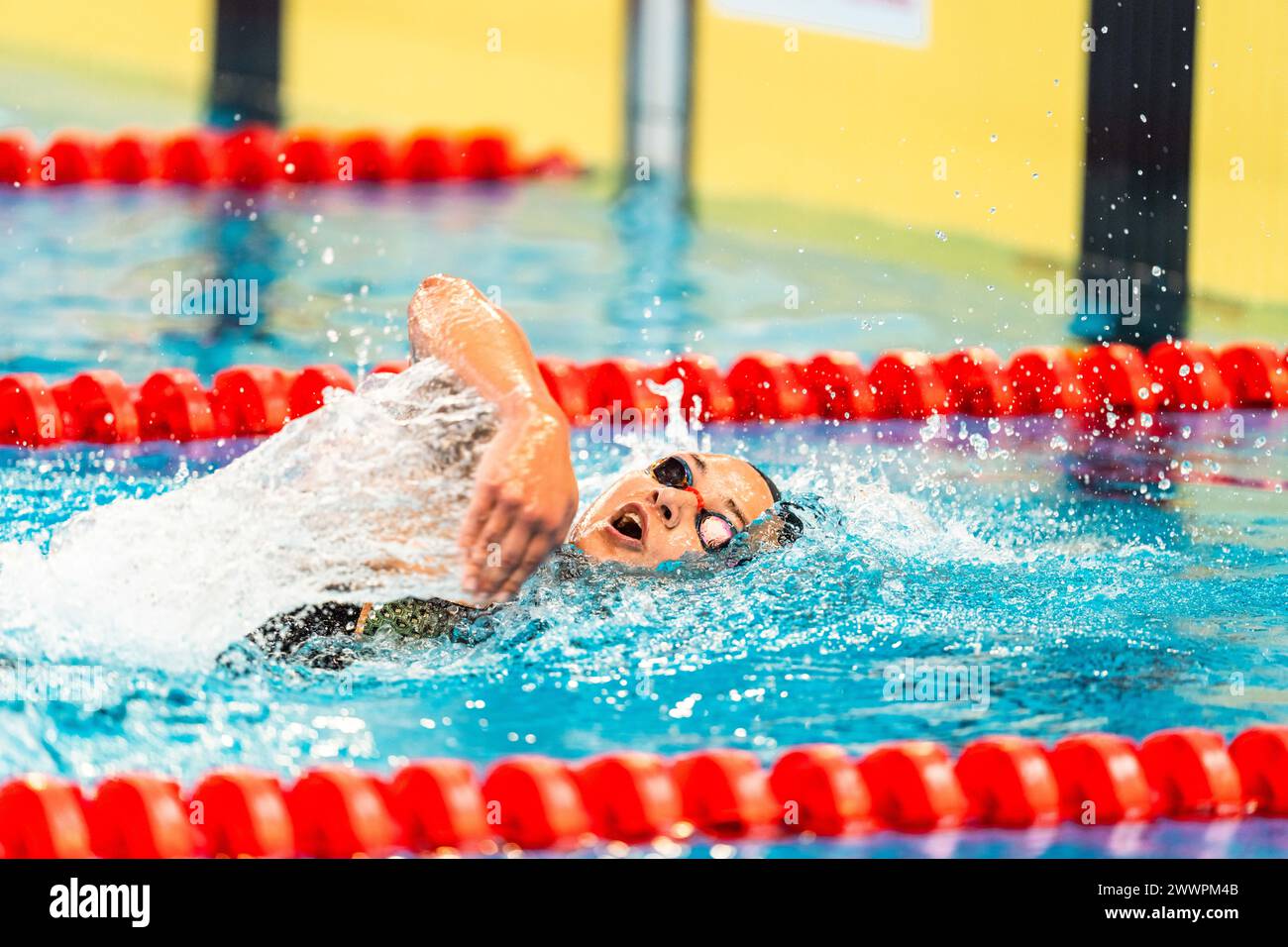 Maud RODRIGUEZ (FRA), finale de natation féminine 800m libre, lors du Giant Open 2024, épreuve ...