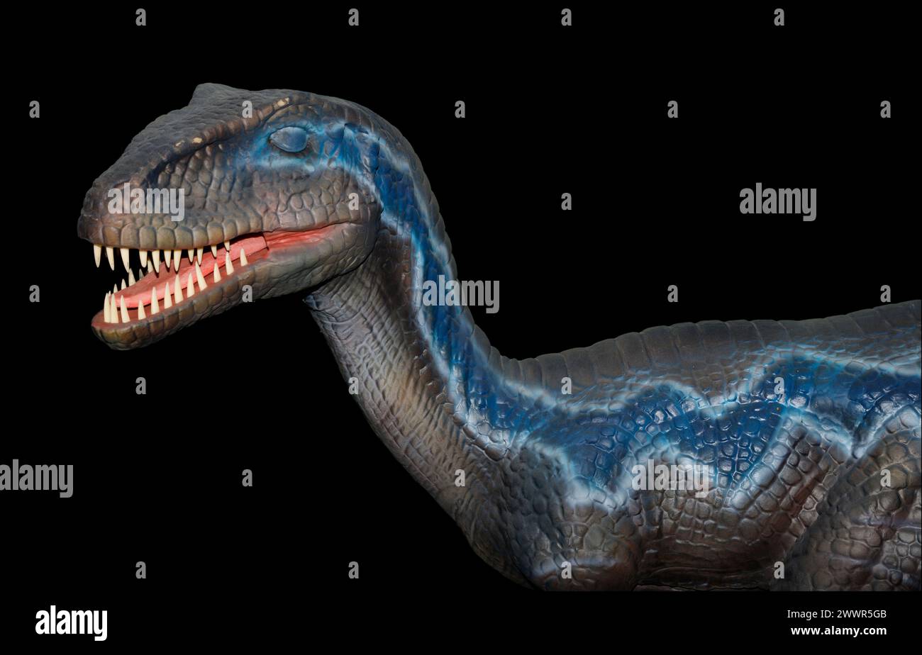 Velociraptor mongoliensis dinosaur cretaceous Banque de photographies ...