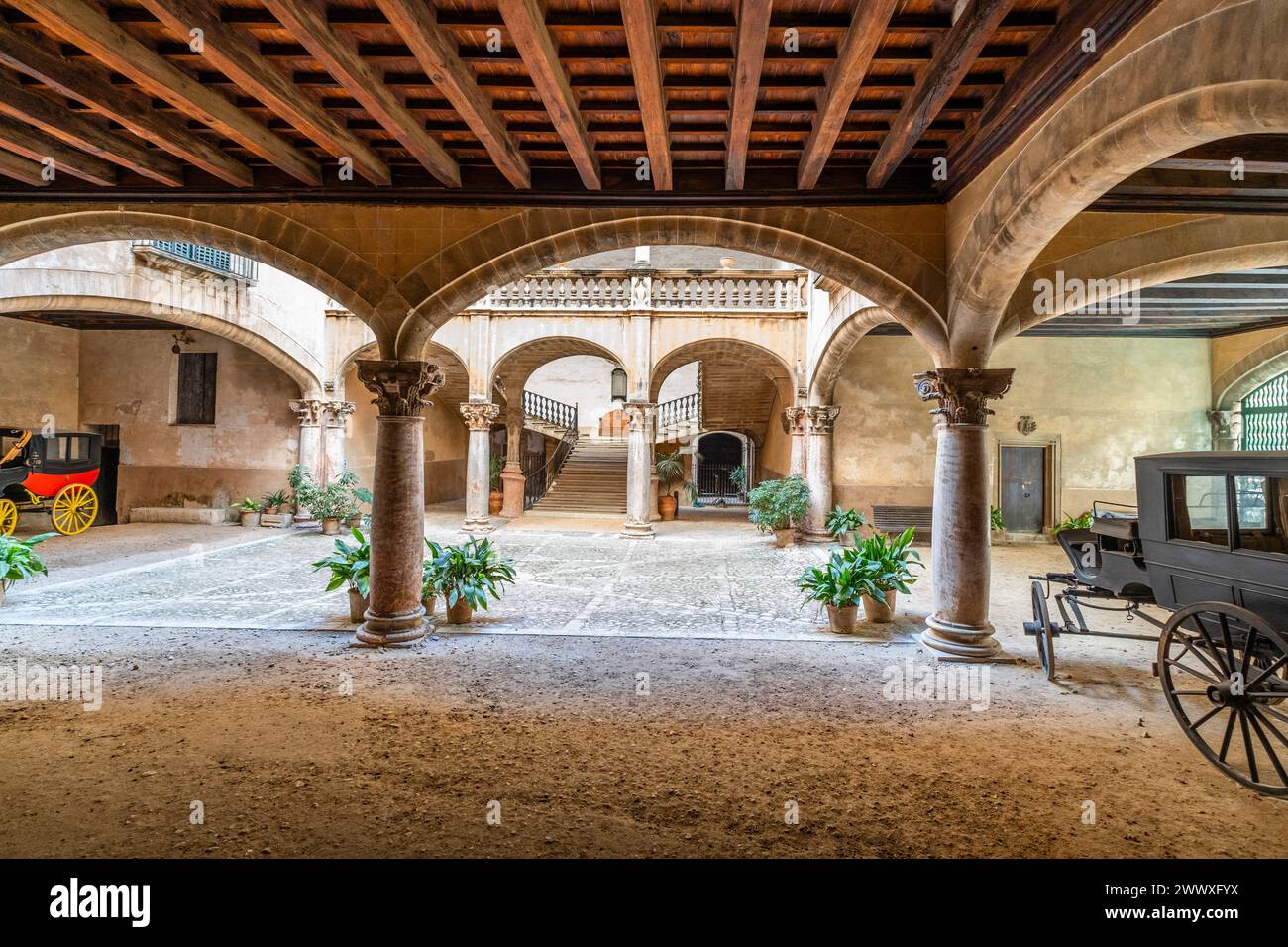 Can vivot palma de mallorca Banque de photographies et d’images à haute ...