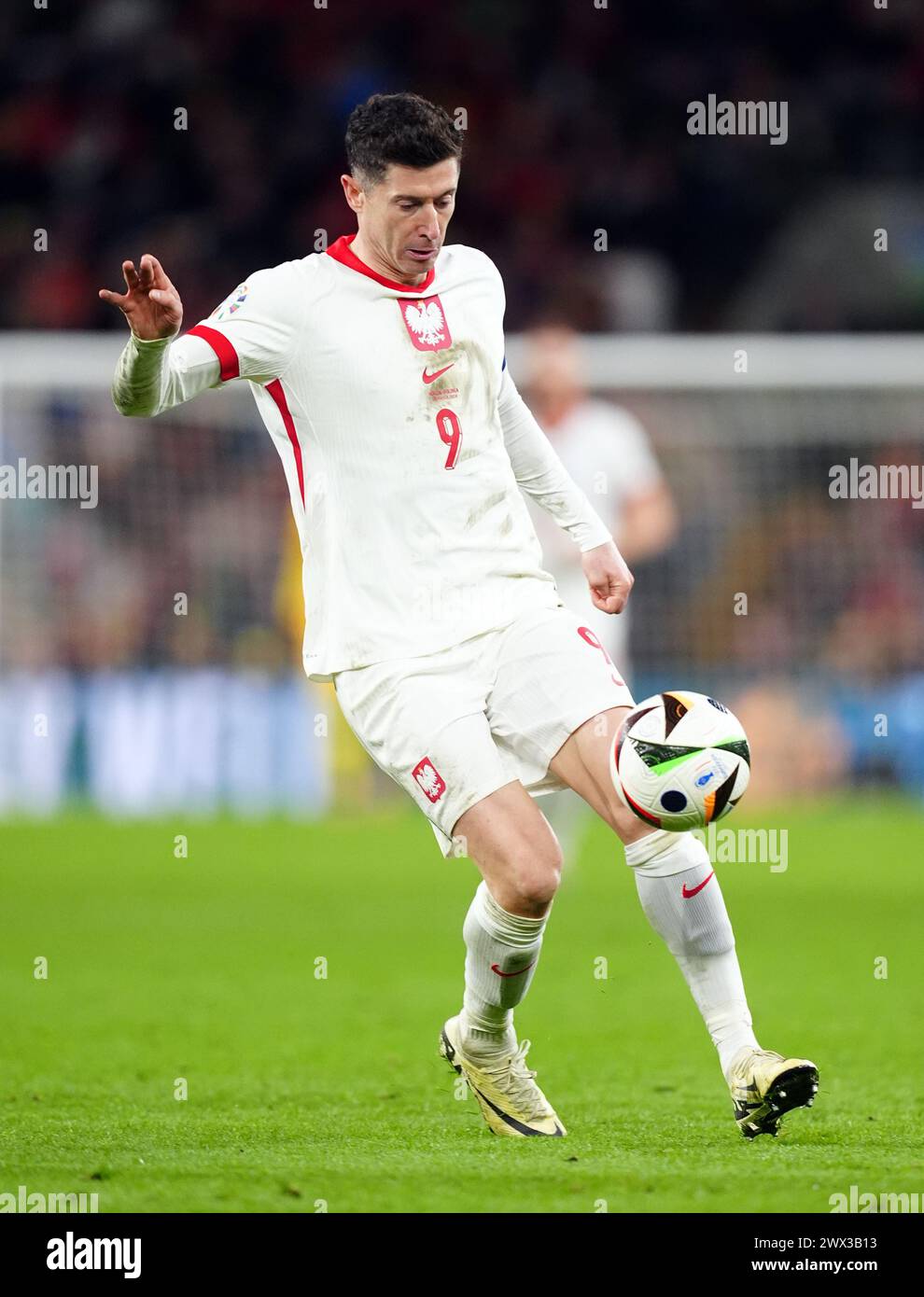 Le Polonais Robert Lewandowski lors de la finale des éliminatoires ...