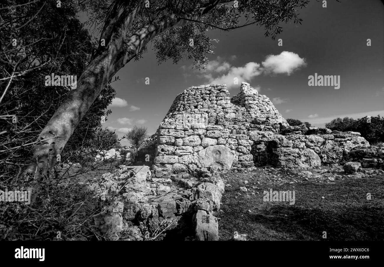 Cornia nou Banque de photographies et d’images à haute résolution - Alamy