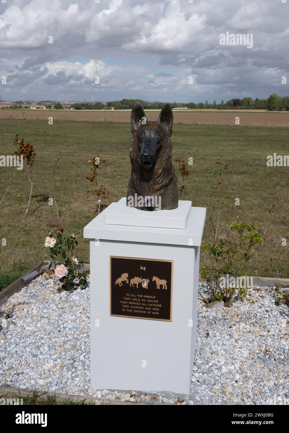 Australian memorial pozieres windmill Banque de photographies et d ...