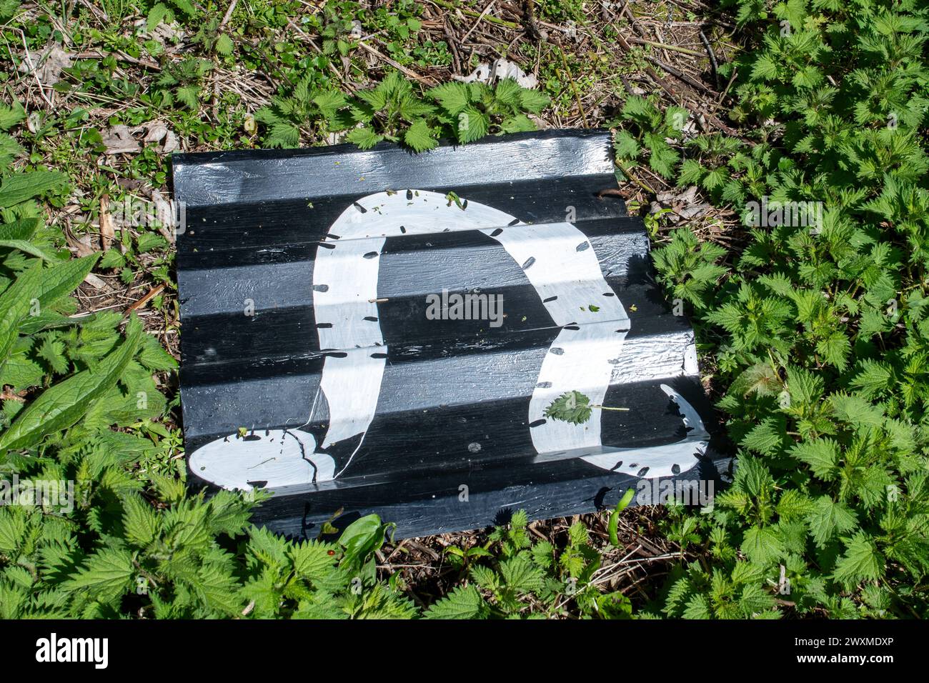 Peinture de reptiles Banque de photographies et d’images à haute résolution - Alamy