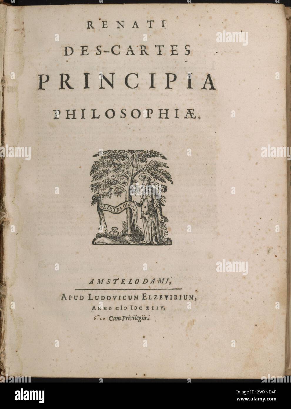 Principles of philosophy Banque de photographies et d’images à haute ...