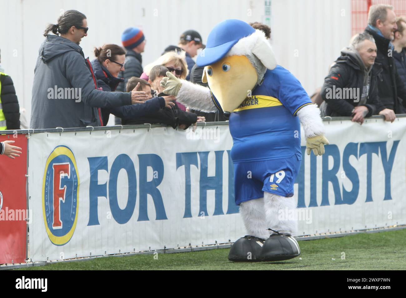 Womble costume Banque de photographies et d’images à haute résolution ...