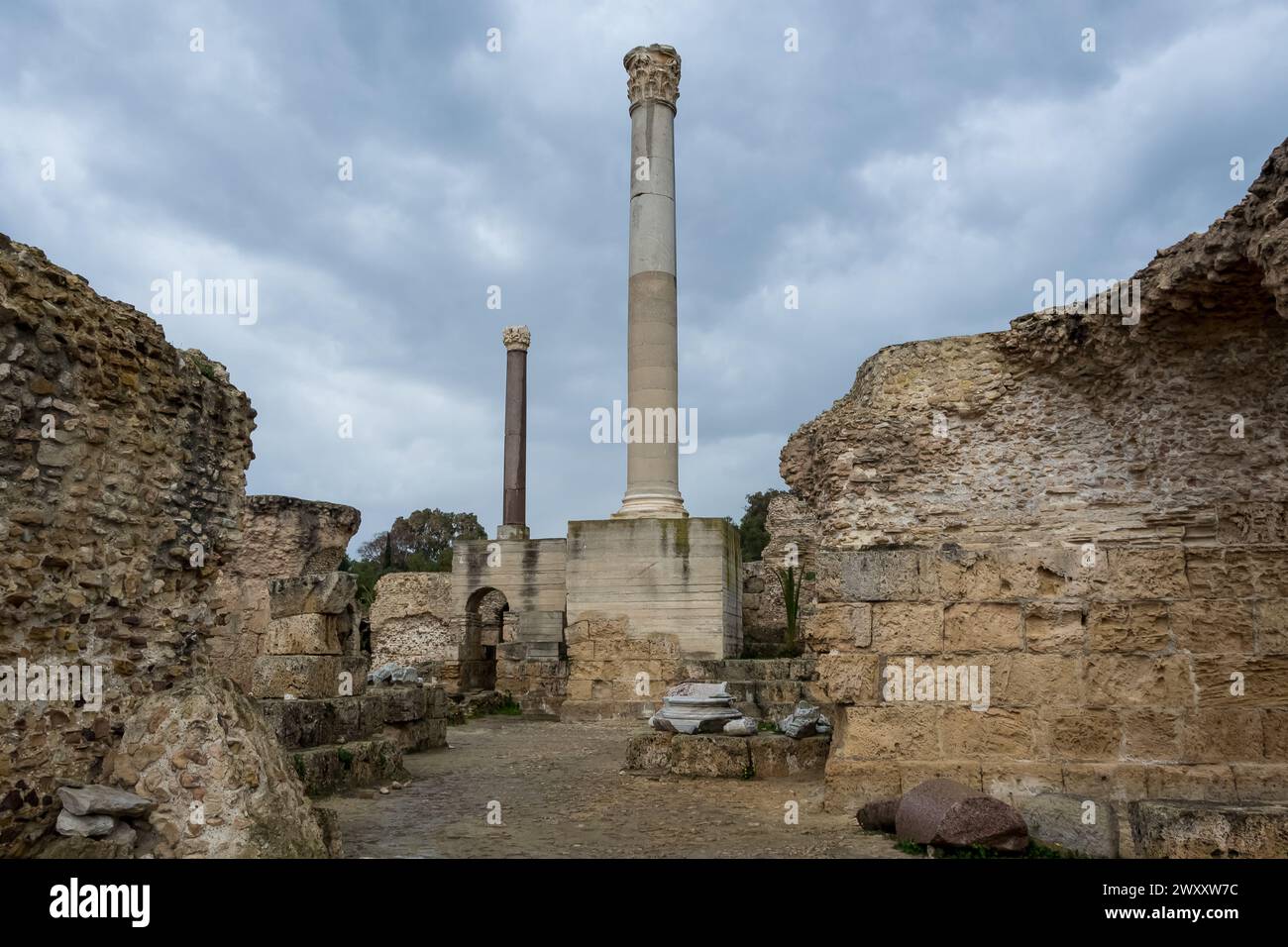 Vue des thermes d'Antonin ou Thermes de Carthage, à Carthage, Tunisie ...