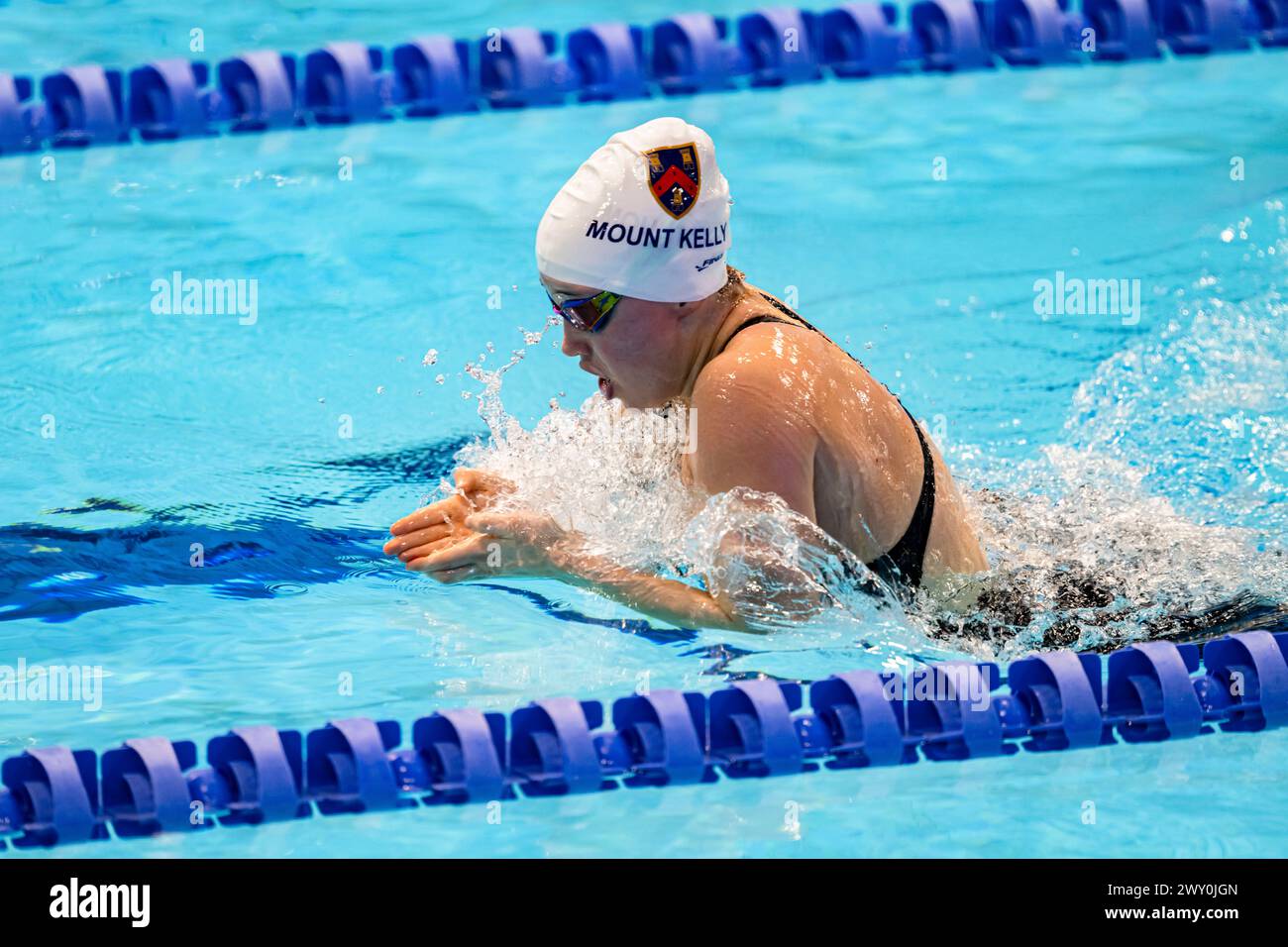 Swimming championships Banque de photographies et d’images à haute ...