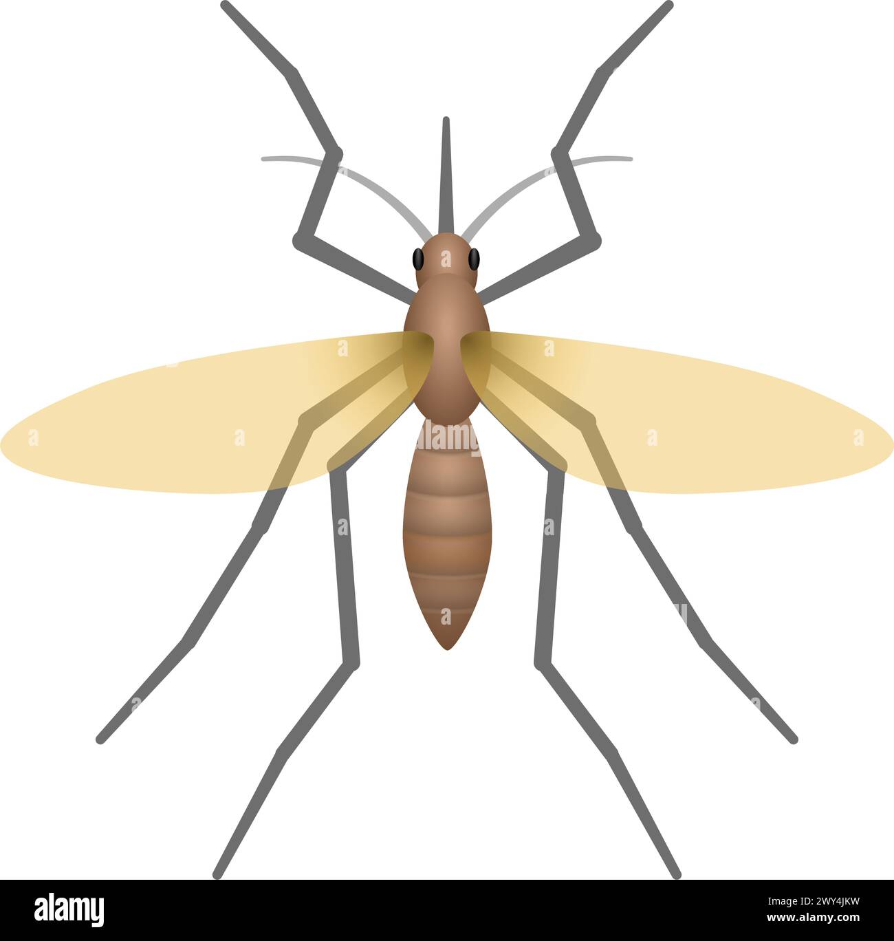Mosquito logo vector Banque d'images vectorielles - Alamy