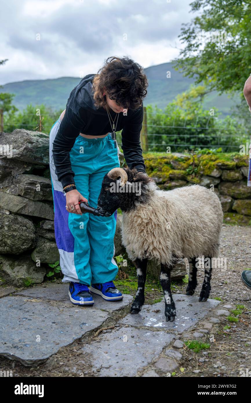 02.09.2023, Irland Land und Leute, Roadtrip am Ring of Kerry, der ...