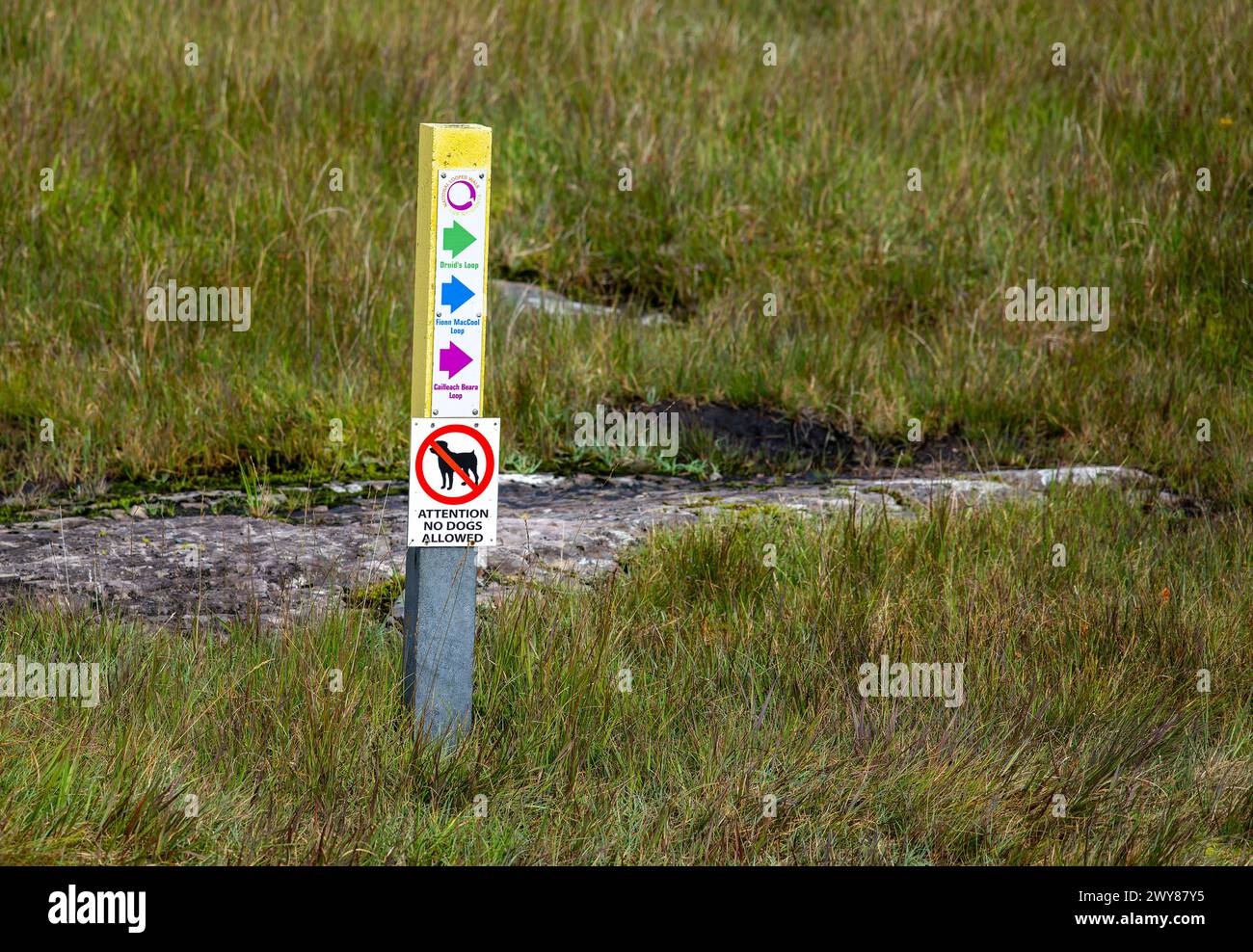02.09.2023, Irland Land und Leute, Roadtrip am Ring of Kerry, der ...