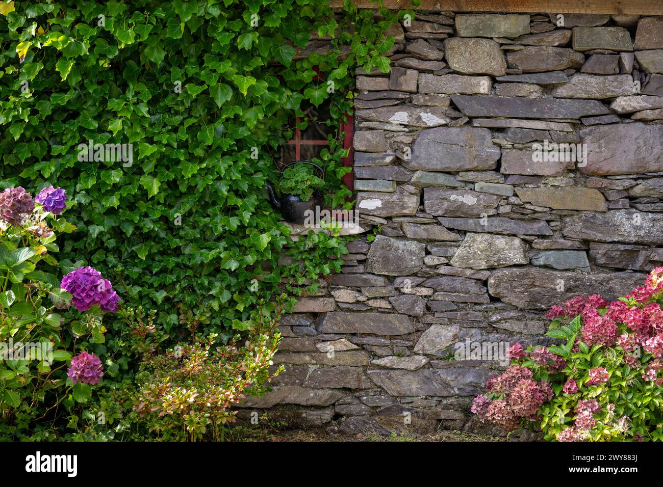 02.09.2023, Irland Land und Leute, Roadtrip am Ring of Kerry, der ...
