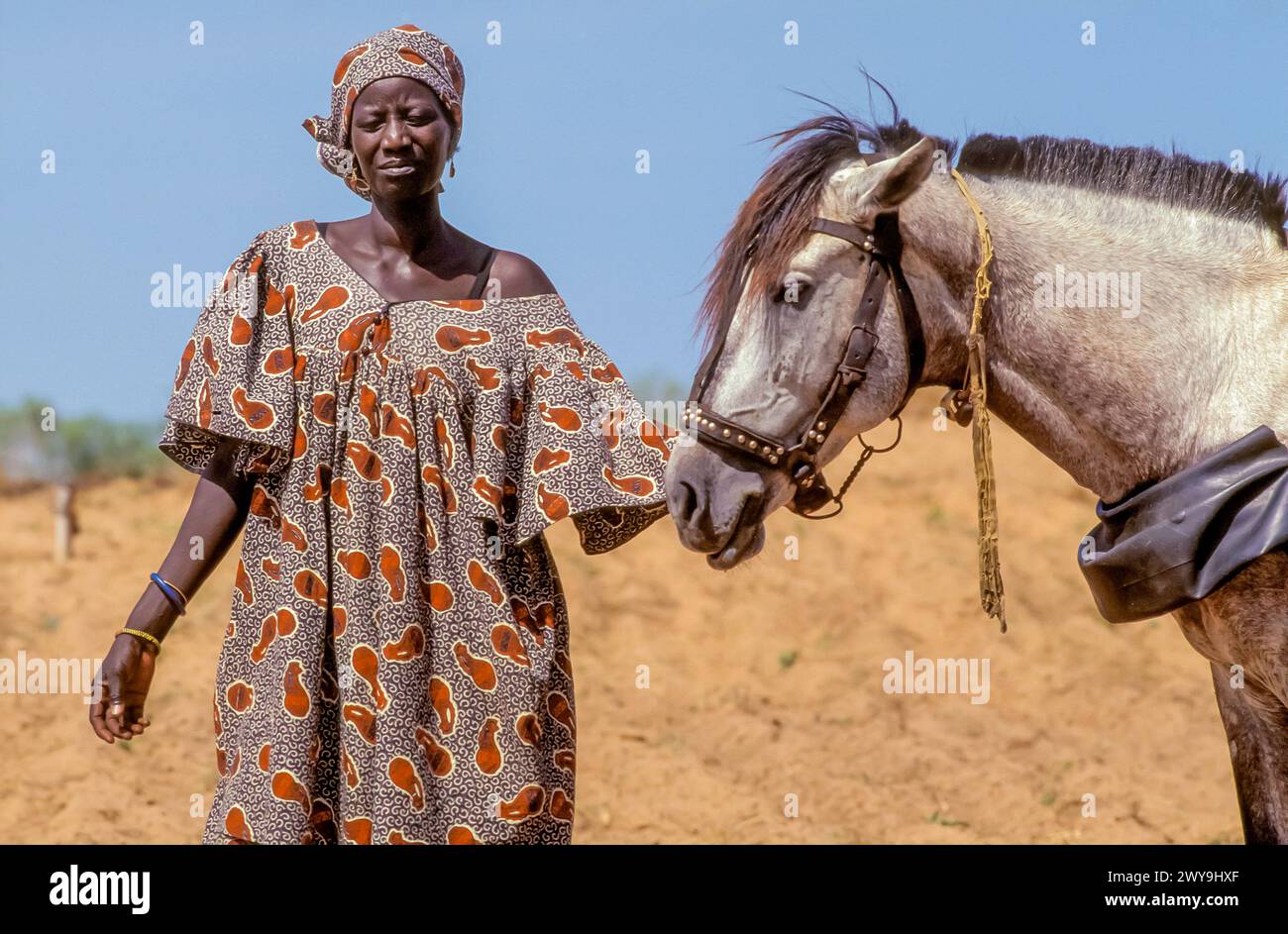 Labour de cheval traditionnel Banque de photographies et d’images à ...