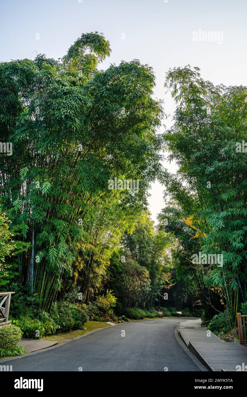 Chengdu garden Banque de photographies et d’images à haute résolution ...