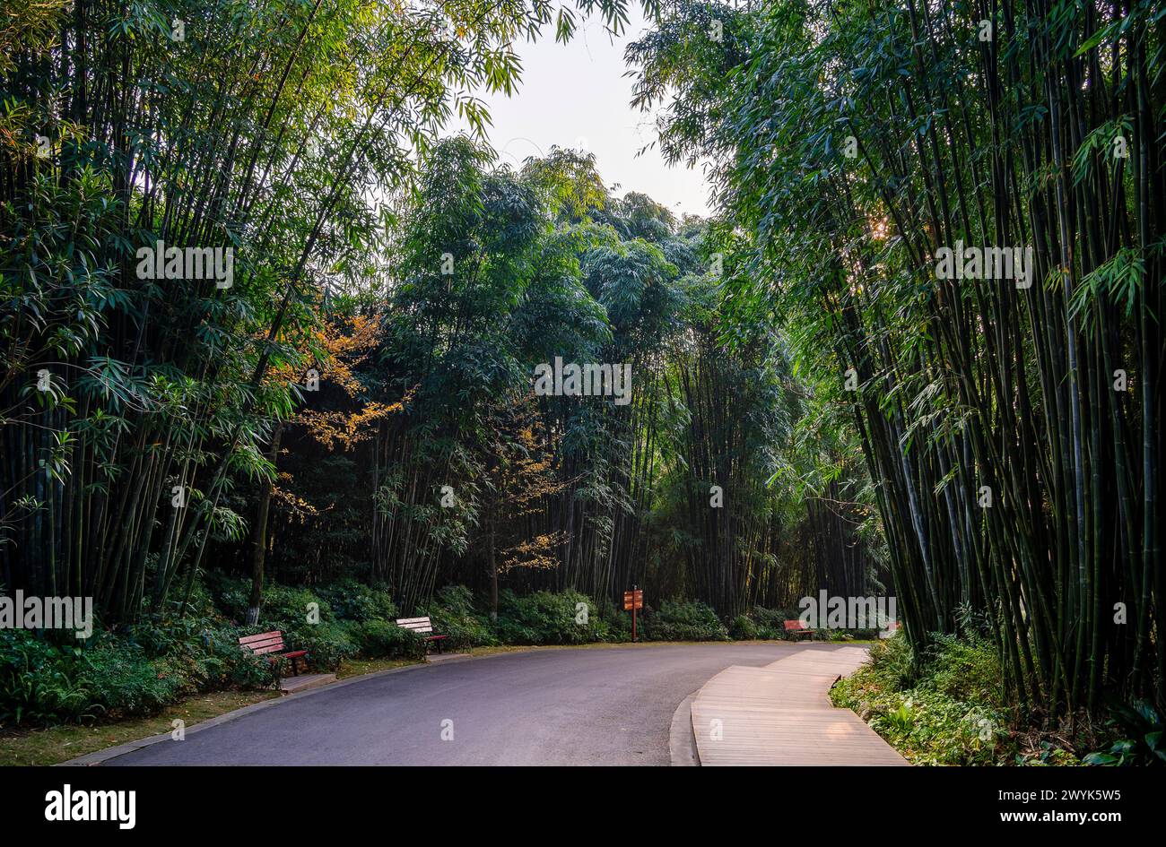 Chengdu garden Banque de photographies et d’images à haute résolution ...