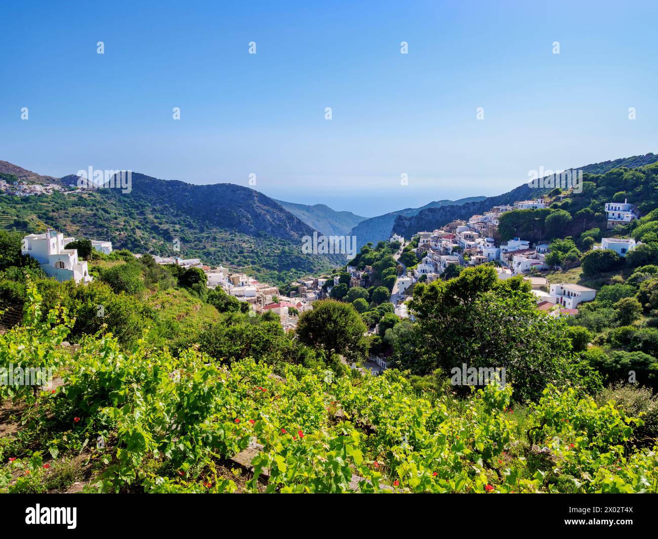 Vignoble et Koronos Village, vue surélevée, île de Naxos, Cyclades ...